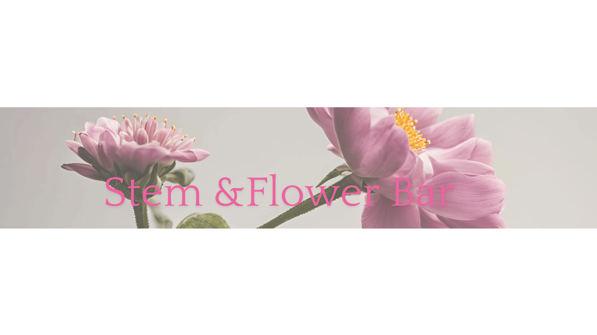 Stem & Flower Bar – K. FLOWER